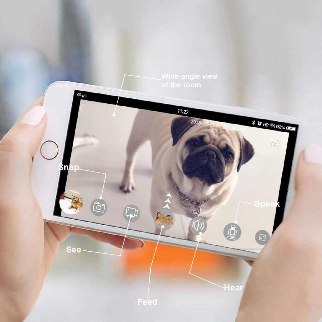 Keeping an Eye on Buster My Experience with the Skymee Dog Camera - Pet ...